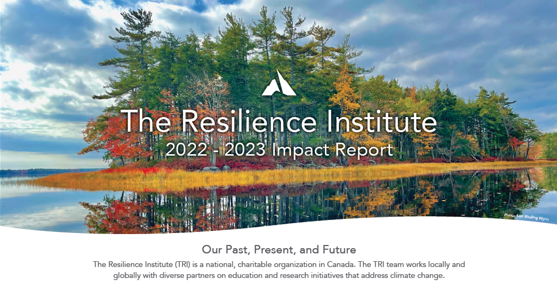 Our Work - The Resilience Institute